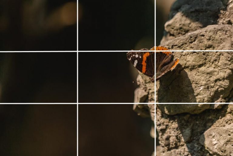 The Rule of Thirds - ExposureGuide.com