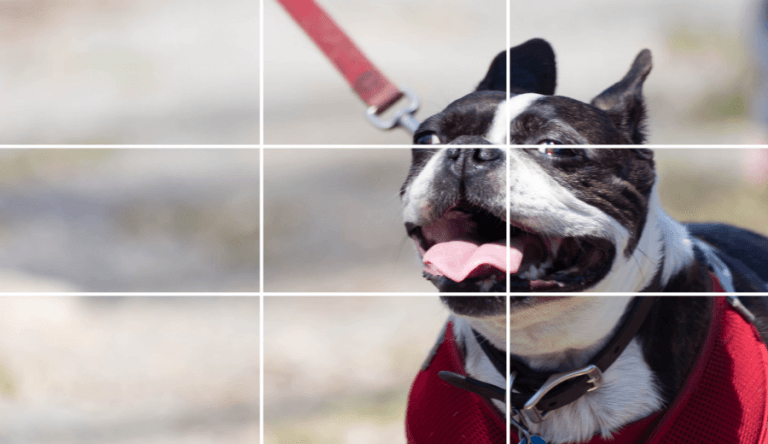 The Rule of Thirds - ExposureGuide.com