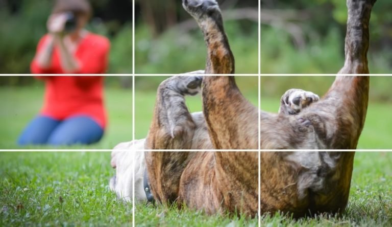 The Rule of Thirds - ExposureGuide.com
