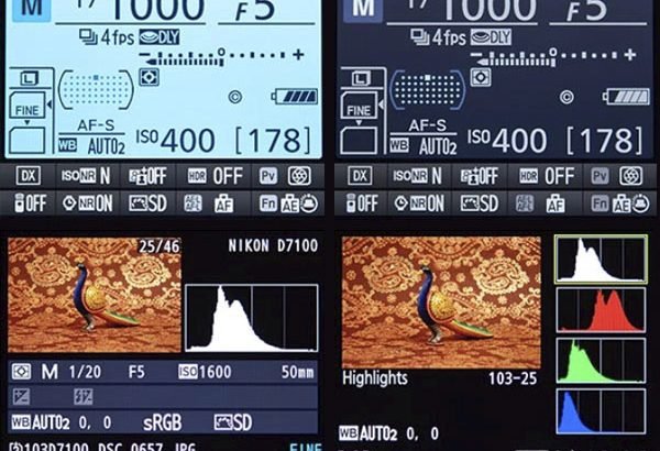 Nikon d7000 manual mode tutorial - nicemopla